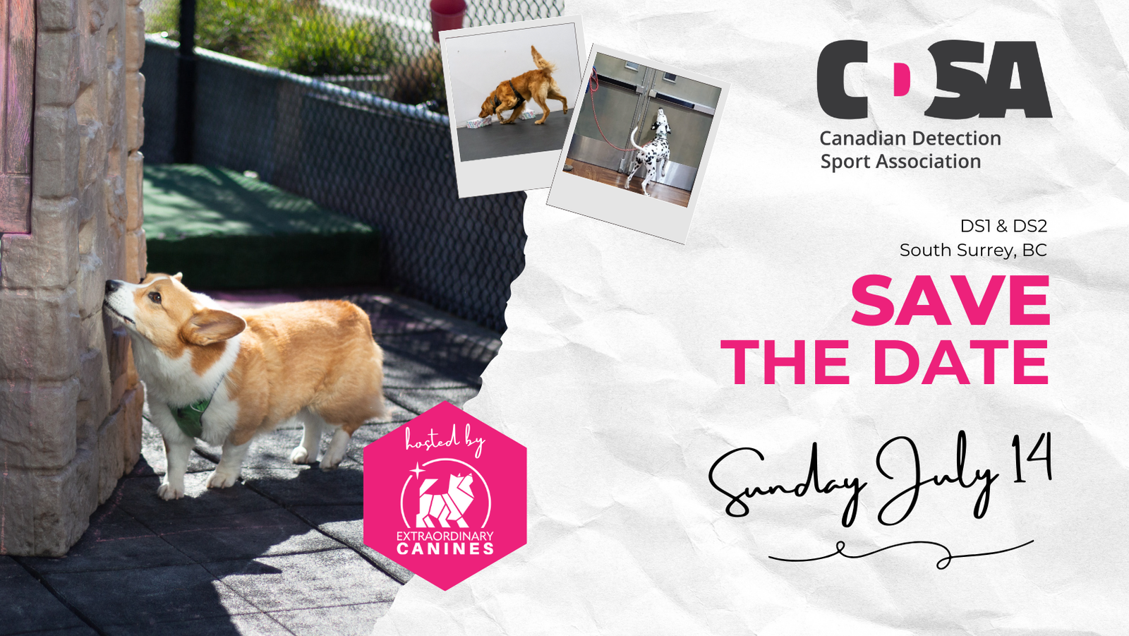 Trials | Extraordinary Canines Inc.